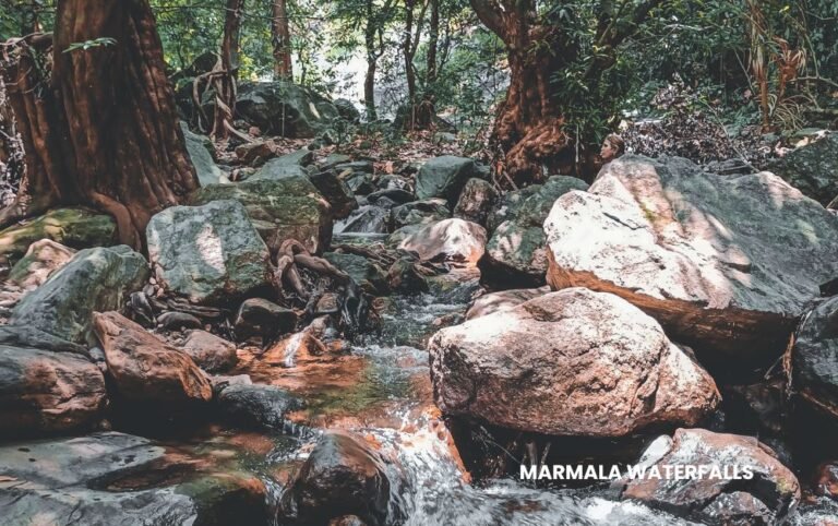 Secret Waterfalls in India: Nature’s Hidden Marvels Await – SceneLoc8